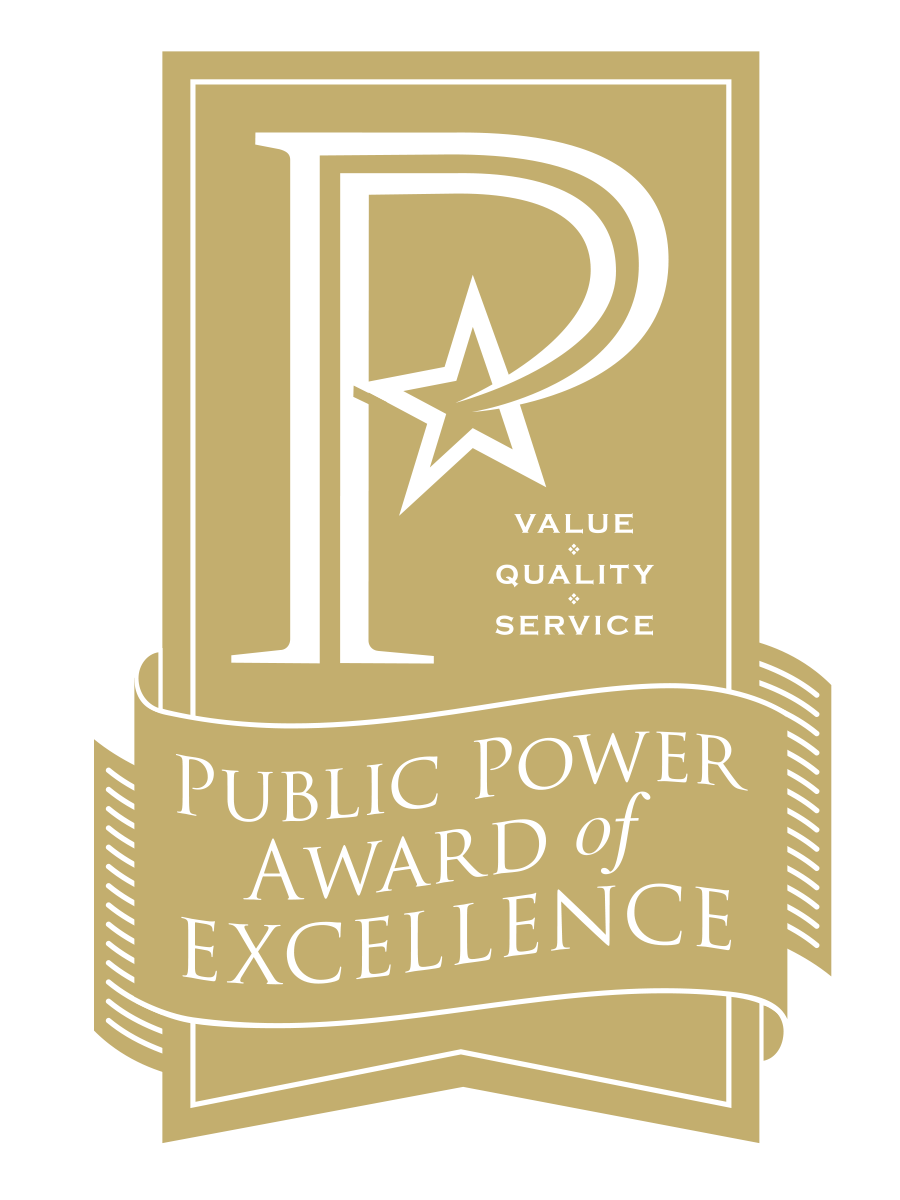 ElectriCities Announces 2019 Public Power Awards of Excellence ...